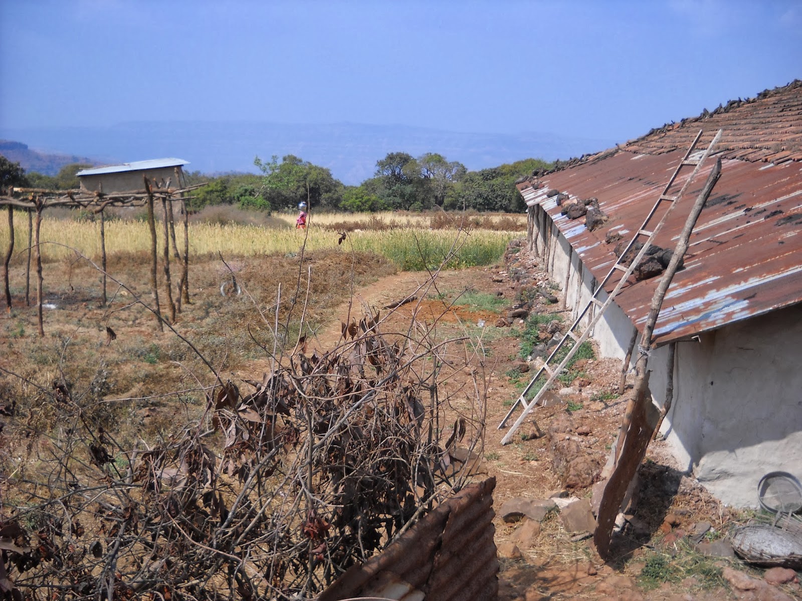 TreknTrail: KamalGad Fort Trek – An Adventure!........(1)