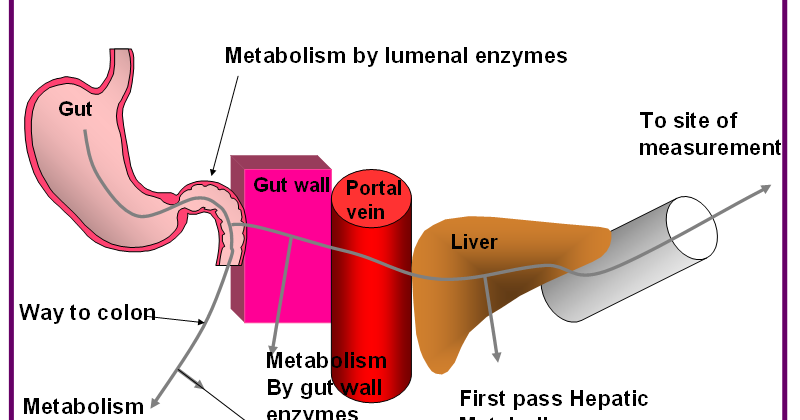 LIST OF FACTORS AFFECTING DRUG ABSORPTION
