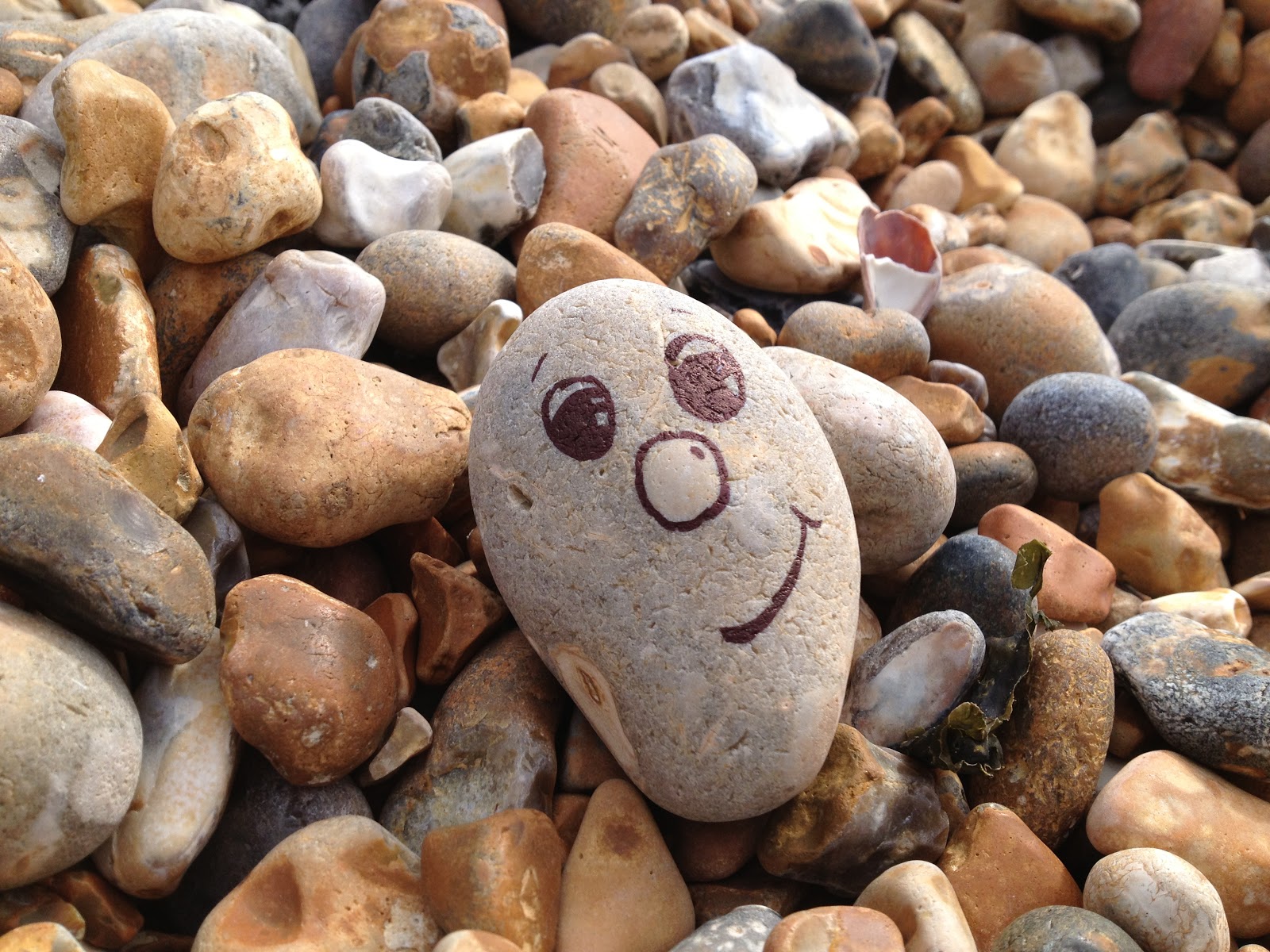 Pebble Faces