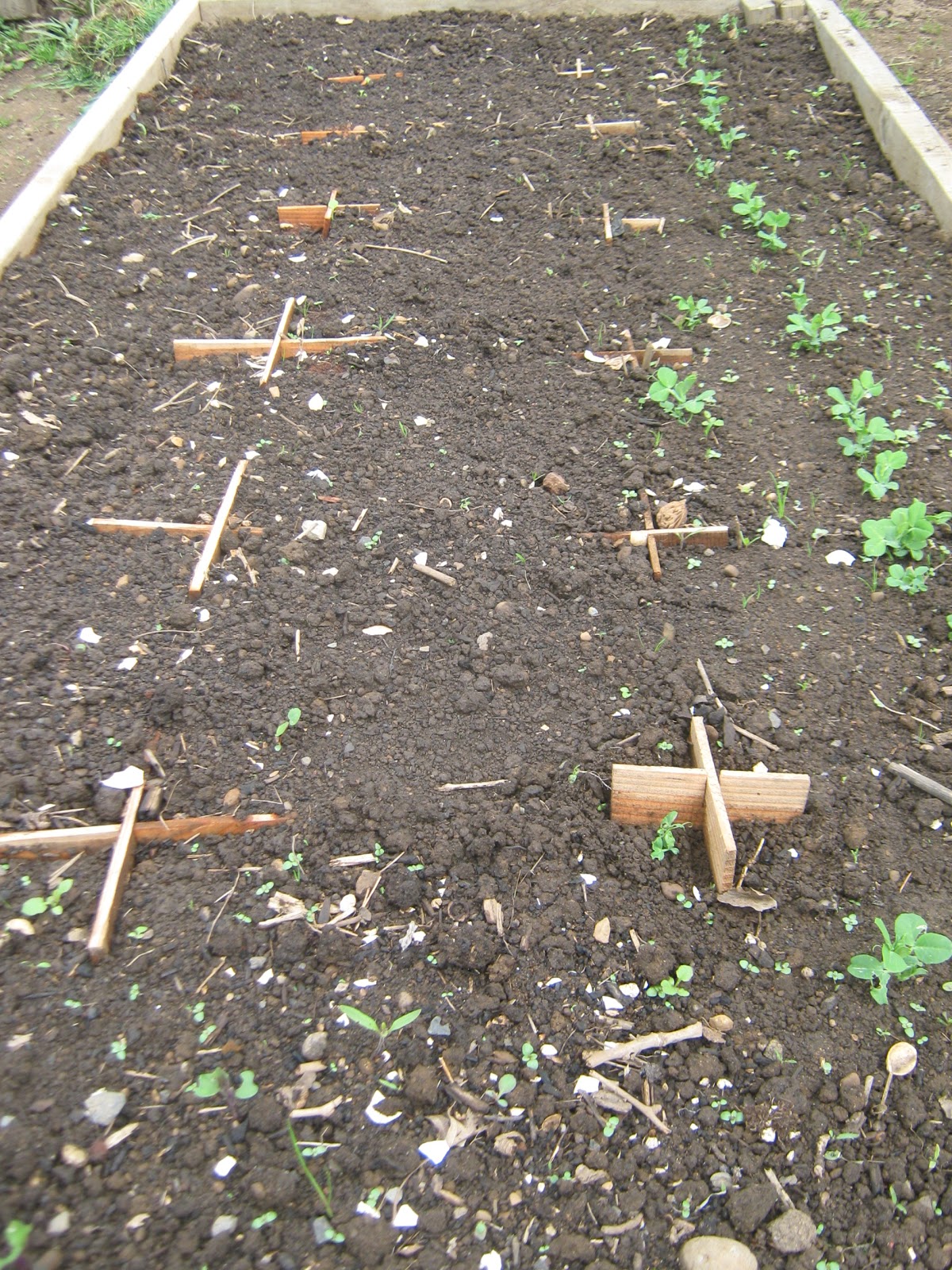 Simply Resourceful: Square Foot Gardening