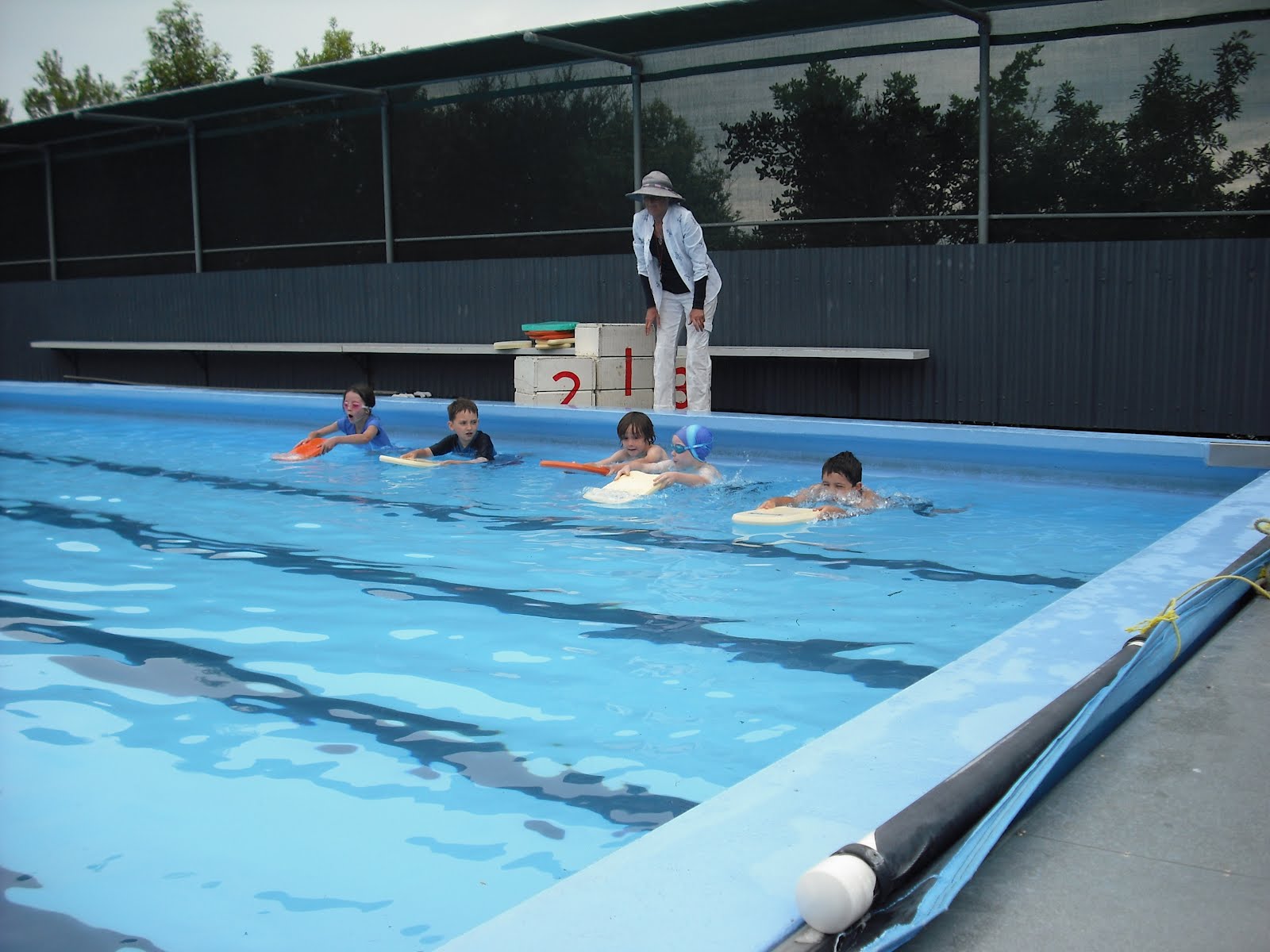 Room 2 Clifton Terrace School Nelson: The Middle School Swimming Sports ...