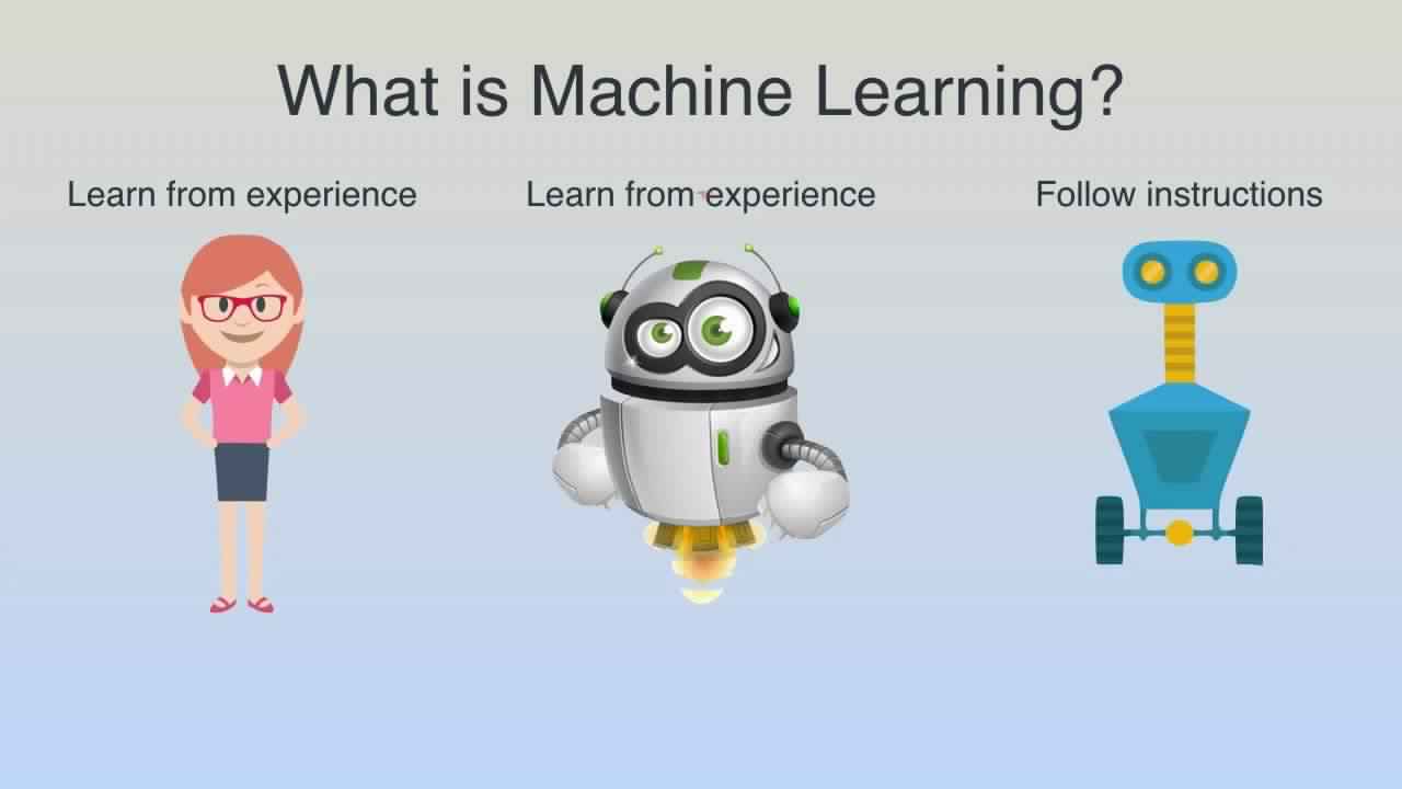 All That You Want To Know About Machine Learning