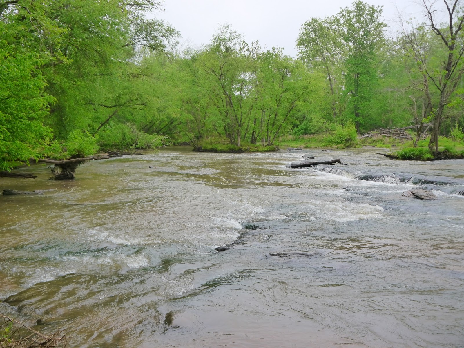 American Travel Journal: Enoree River Shoals - Musgrove Mill State ...