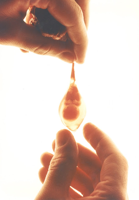 MCCL Blog: Teardrop baby