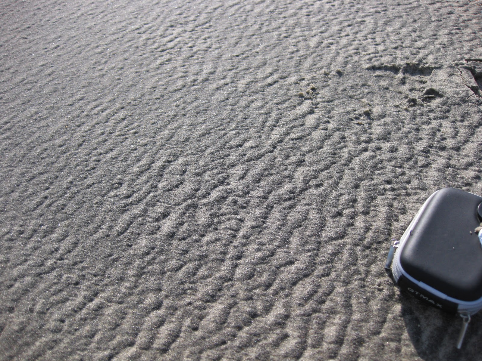 The Dynamic Earth: Sed Structure Sunday - Adhesion Ripples!