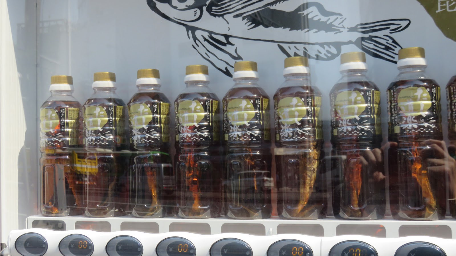 RogueDogue Blogue: Travelogue Tokyo-Day 4 Vending machine