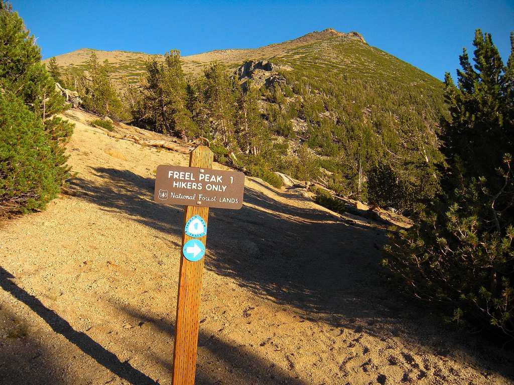Life is a mountain.: Freel Peak, CA