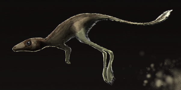 Obscure Taxa - Page 40 - Speculative Evolution