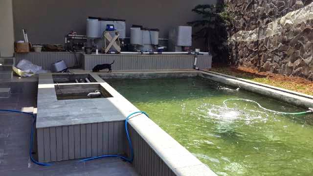 Review Kolam Full Equiped by Evolution Aqua Products ~ Waterdecor ...