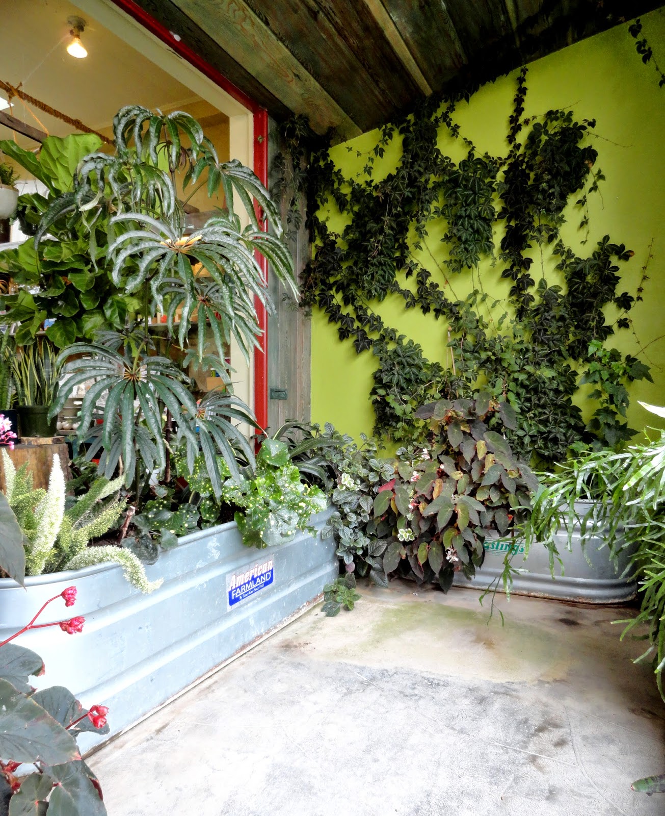 danger garden: Visiting Flowerland...