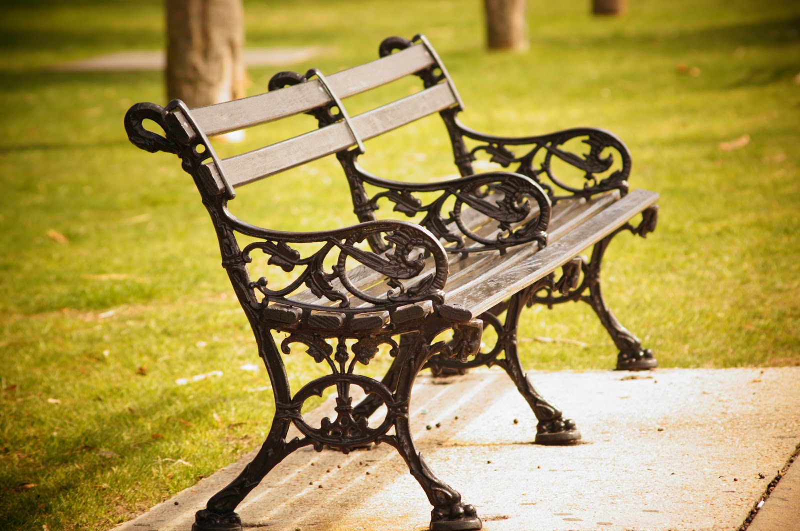 18 benches stock photos for commercial use without watermark