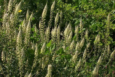 Life In Color: Color me skeptical