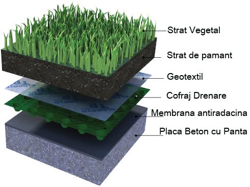 Gazon rulat de calitate superioara la preturi foarte mici