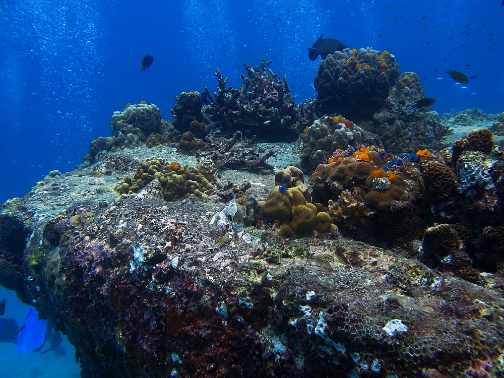 One-way: El fons del mar marítim d'aquesta illa!!!