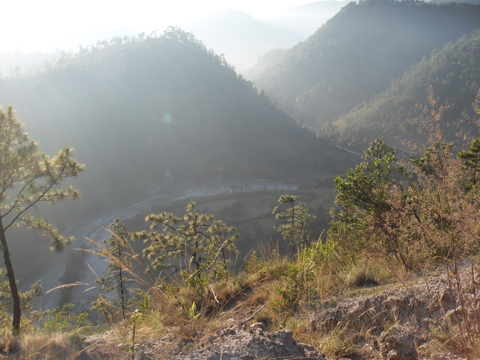 Kolol Qnan Tx'otx': Reforestación de comunidades de San Miguel Ixtahuacán