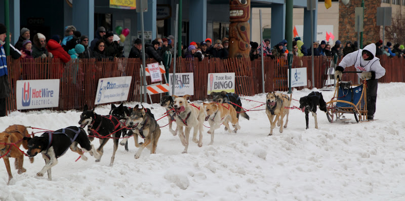 Sheryl's Great Adventure Year 2: Fur Rondy 2012 Parade and Speed Dog Race