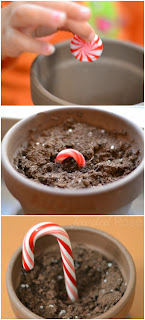 Khristelle: GROW A CANDY CANE