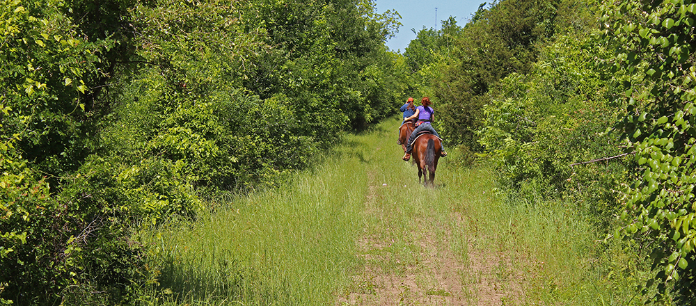 Dallas Trinity Trails: Horseback Riding The Trinity River