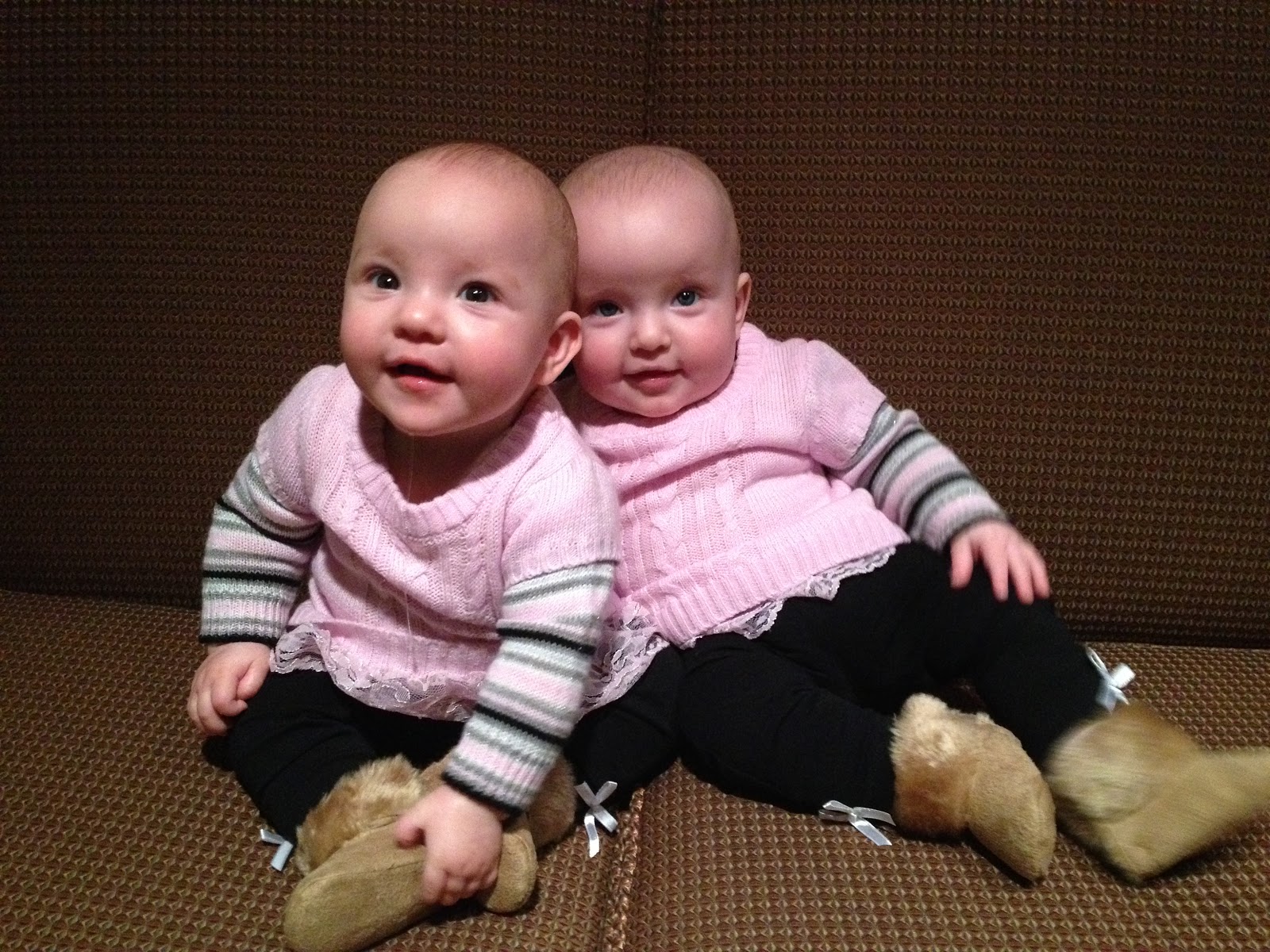 The Pair of Scates: Twin Turkeys on Thanksgiving