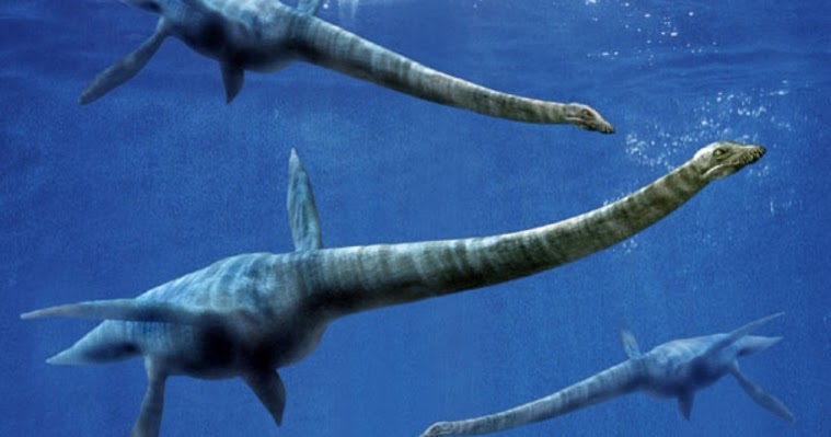 Species New to Science: [Paleontology • 2015] Vegasaurus molyi, gen. et ...