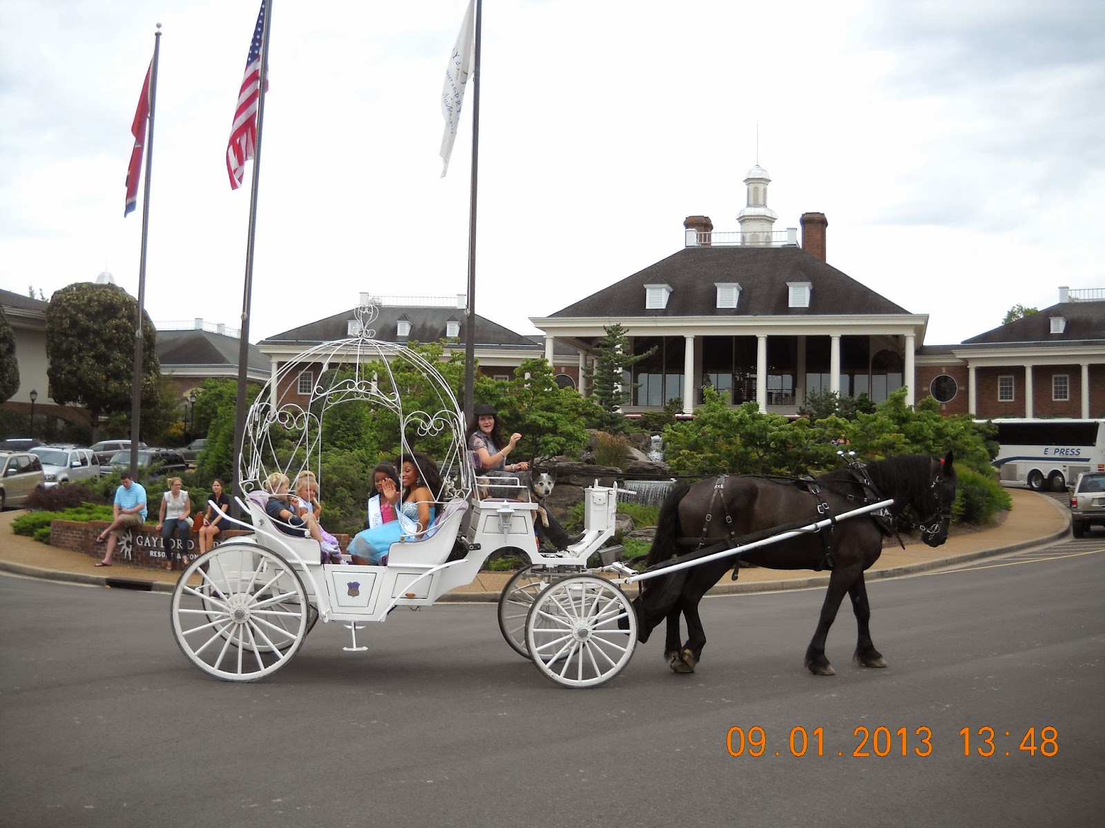 Sugar Creek Carriages: Carriage Rides Nashville