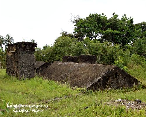 Sejarah Hamba Abdi Di Afrika - CariDotMy