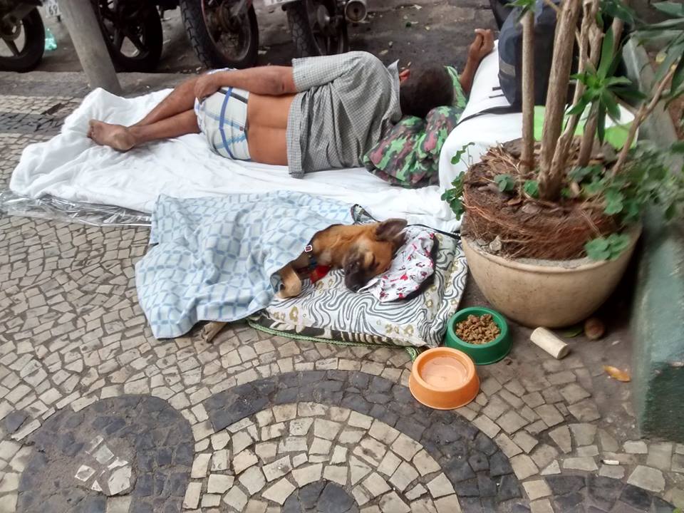 White Wolf : Dog's Love: Beautiful series of pictures showing homeless ...