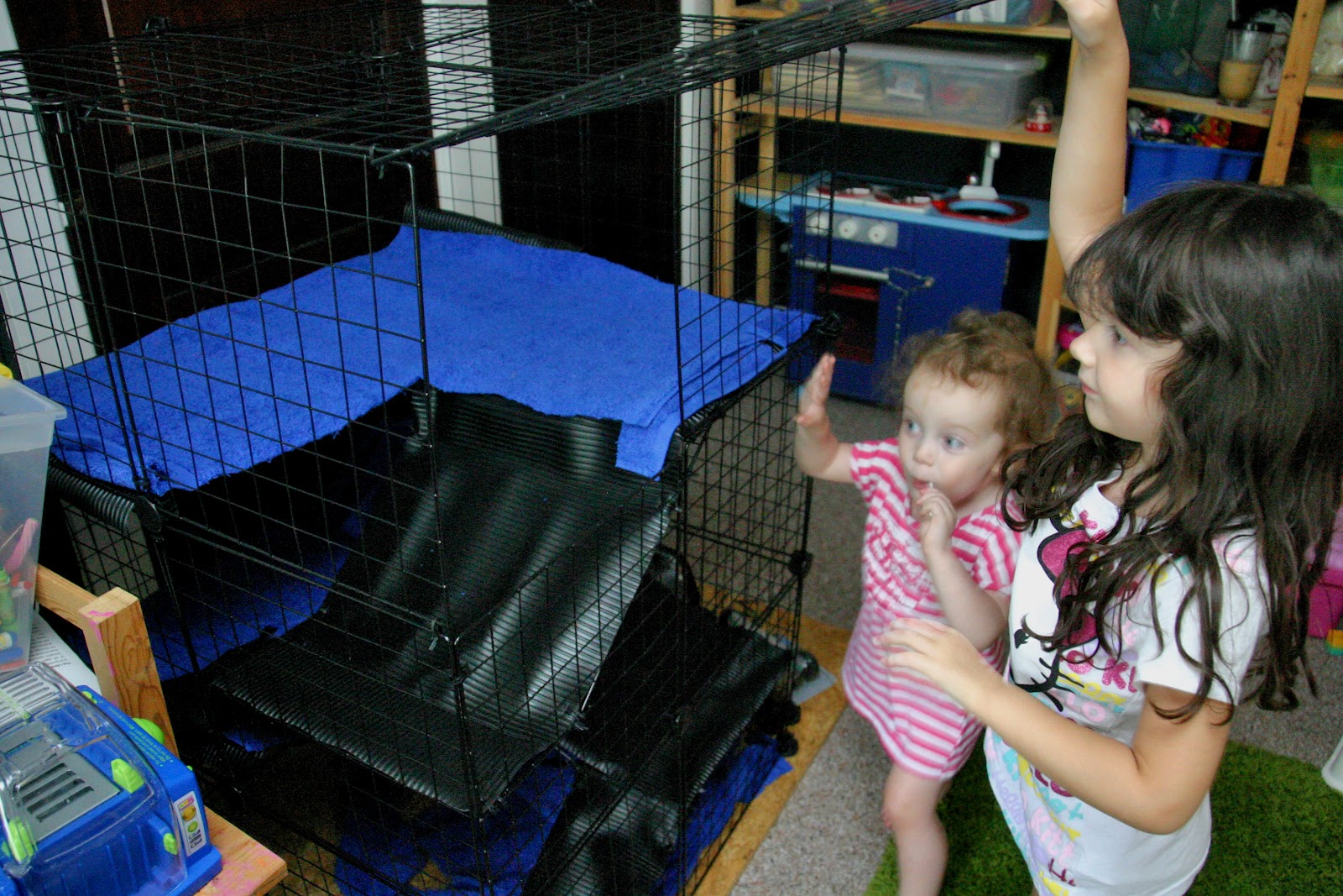 Grosgrain: DIY Bunny (Small Animal) Cage: Bigger and Cheaper Than Retail