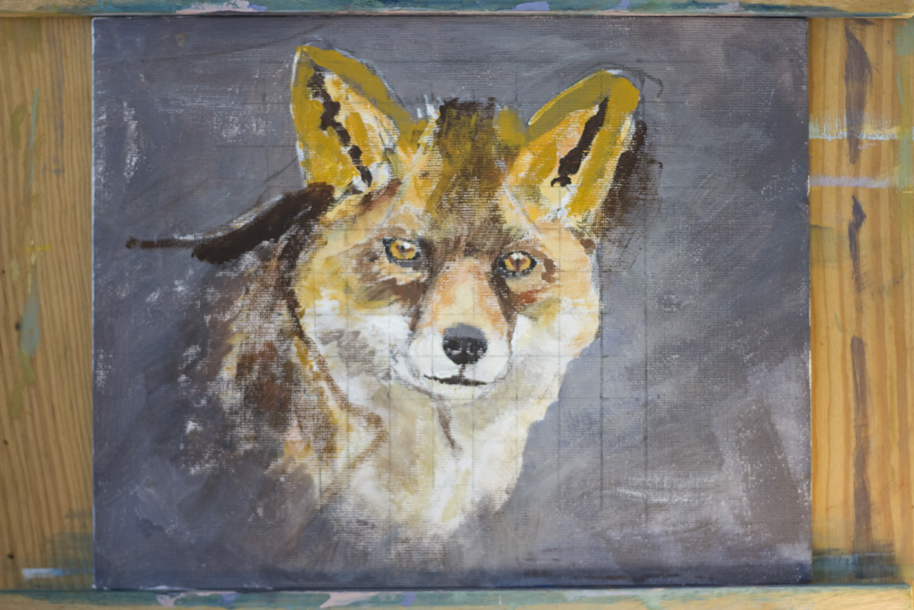 Bird and Wildlife Photos from Somerset and Devon : Painting a Fox in Oils