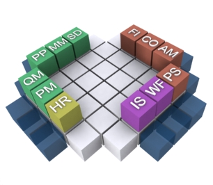 SAP Facil - Desvendando o SAP: SAP - FI - Submódulos