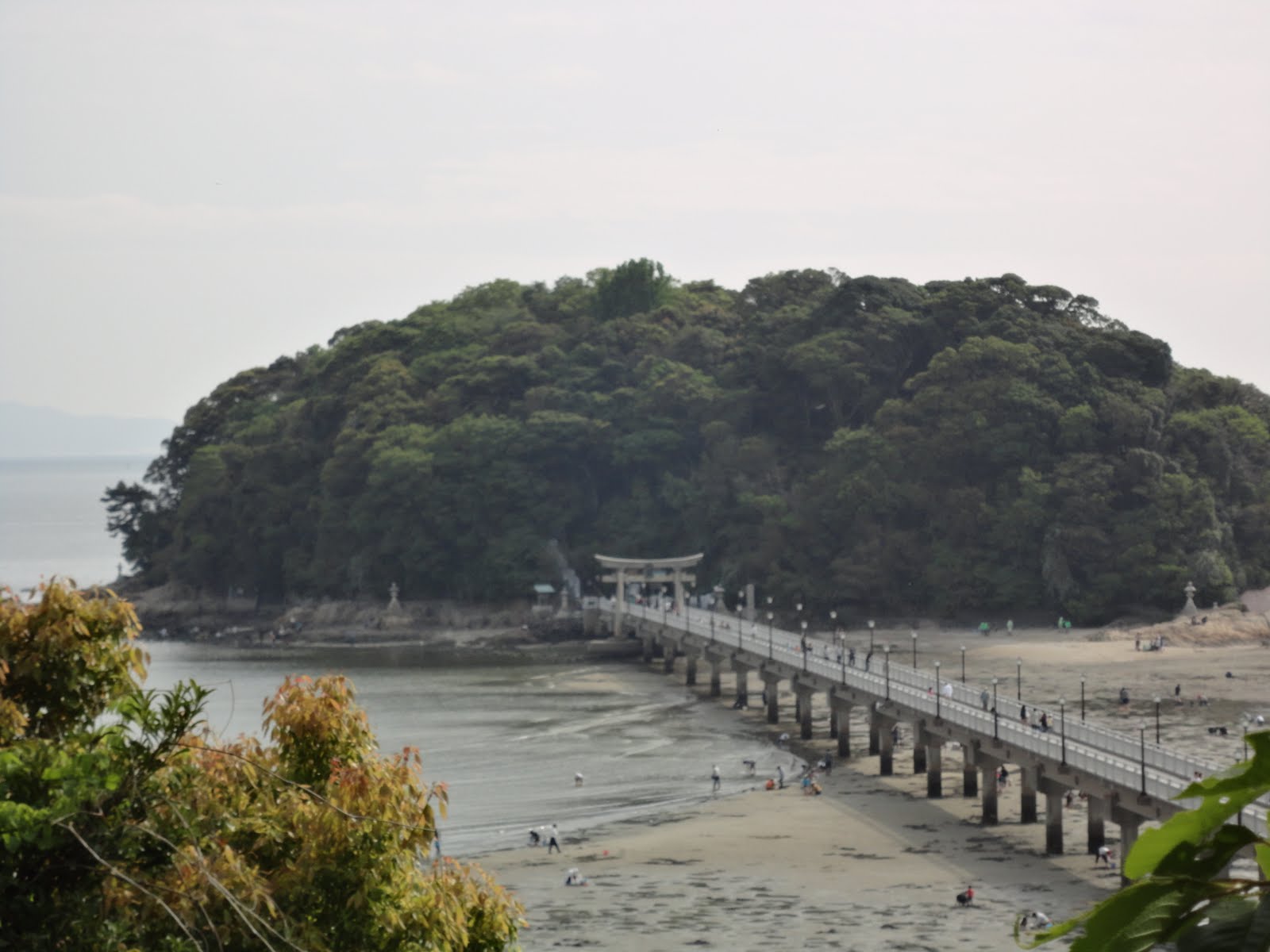 Amo conhecer o Japao: Ilha de Takeshima