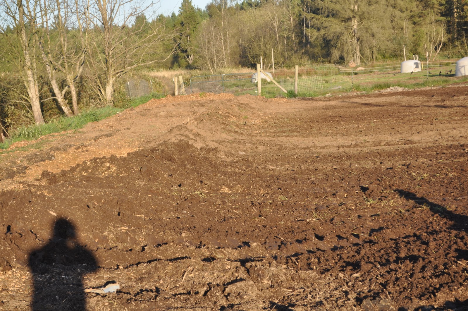 meat: Creating a swale