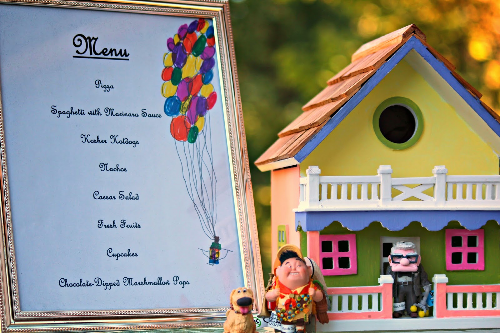 The Red Apron: UP Movie Themed party