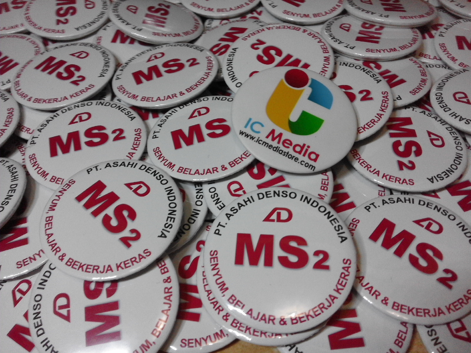 IC MEDIA GALLERY: pin bros