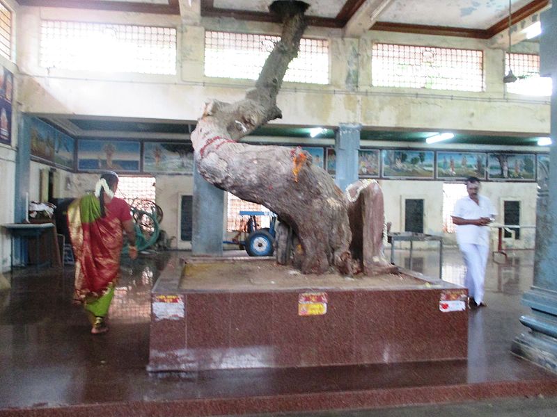 Tamilnadu Tourism: Vayalur Murugan Temple – The Temple