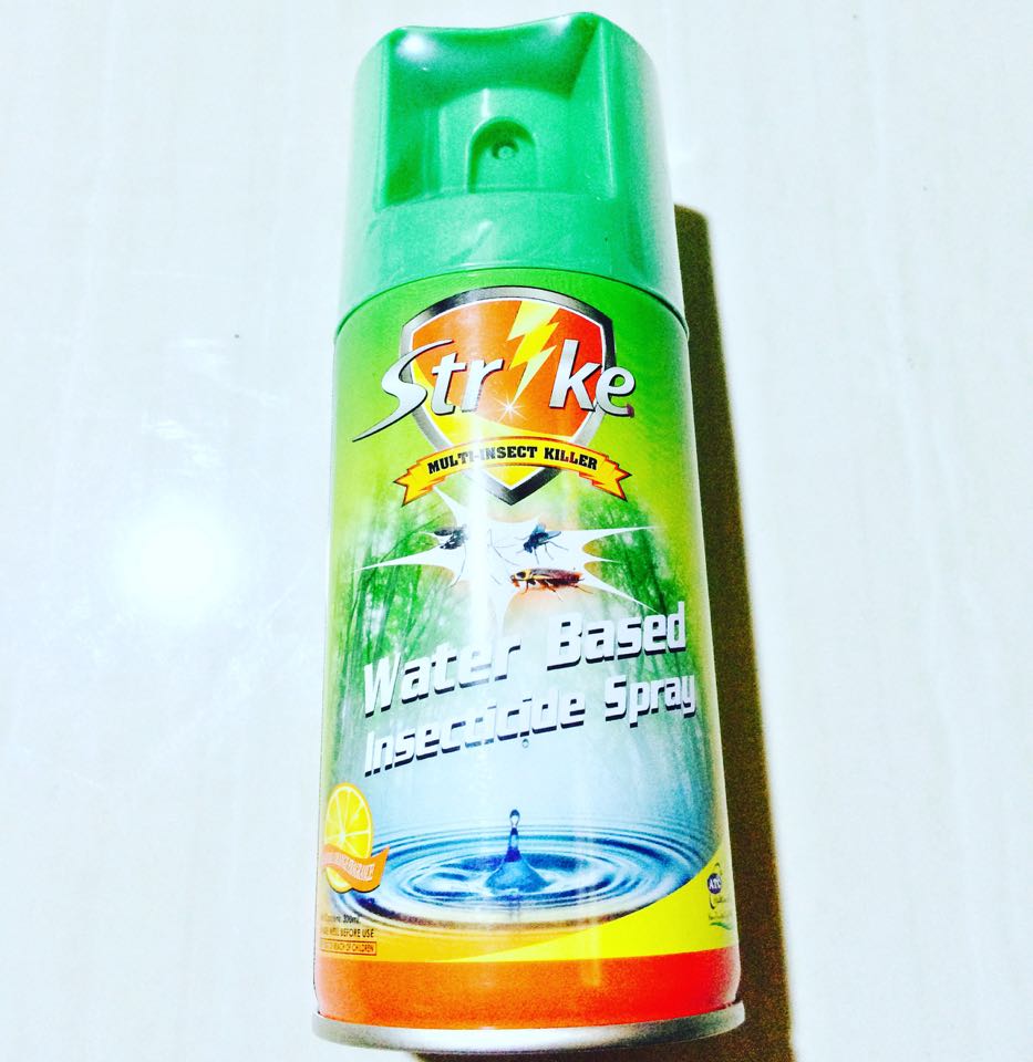 She's The Mom: Facts and Effective ways to avoid mosquitoes!