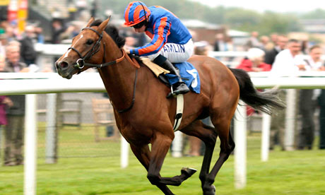 Top 31 Amazing And Dashing Horse Racing Wallpapers In HD