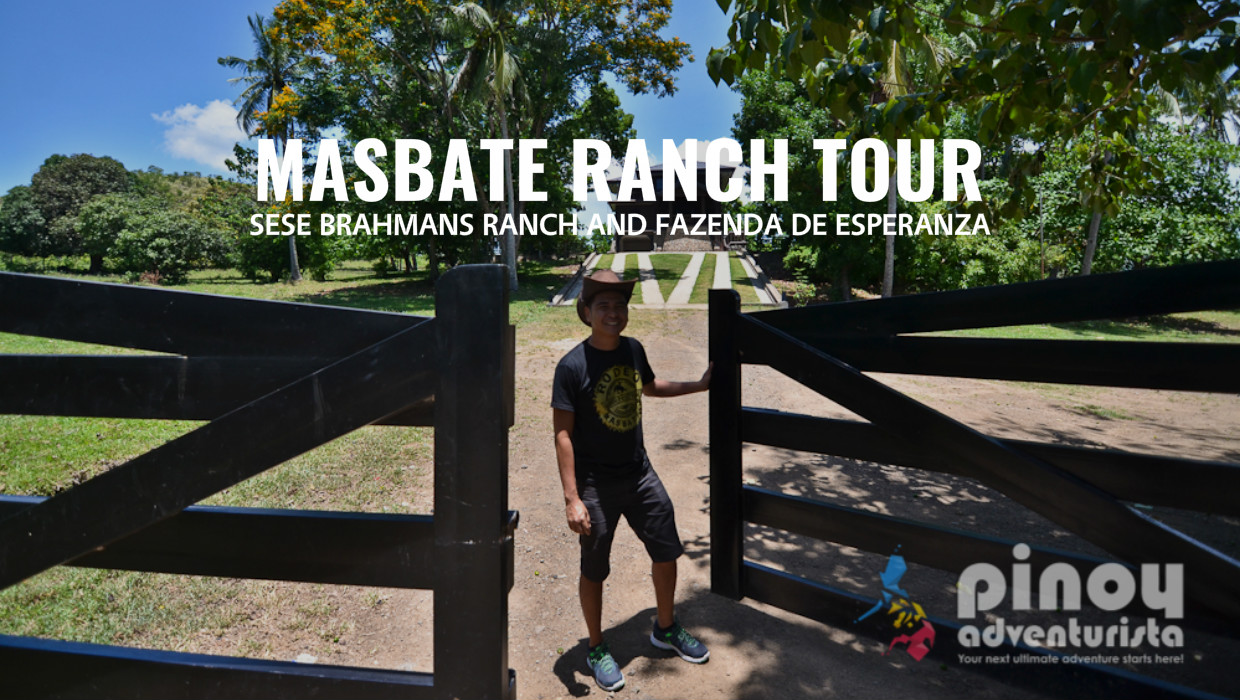 THINGS TO DO IN MASBATE: Ranch Tour at Sese Brahmans Ranch and Fazenda ...
