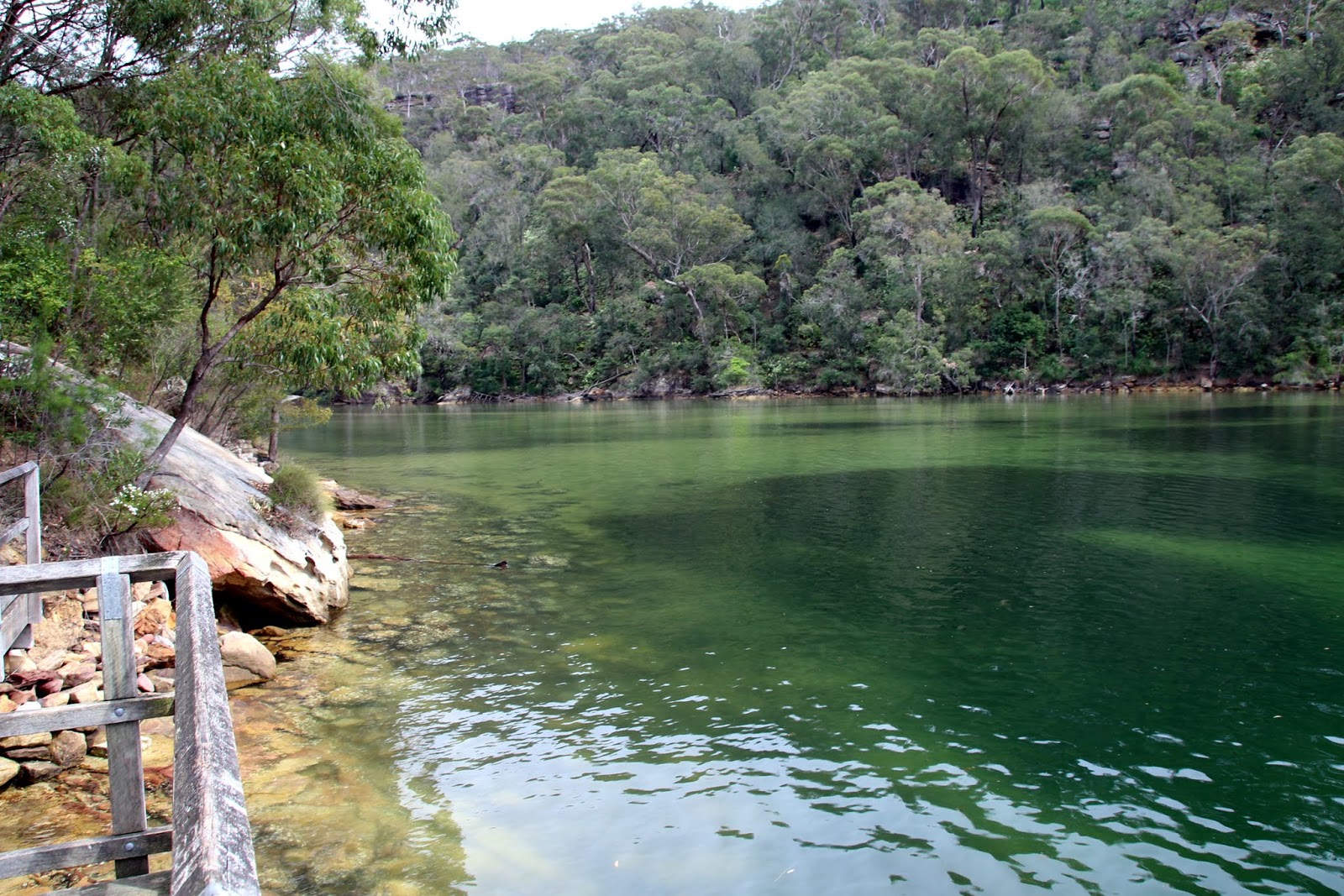 its just my life: Mount Kuring-gai to Berowra