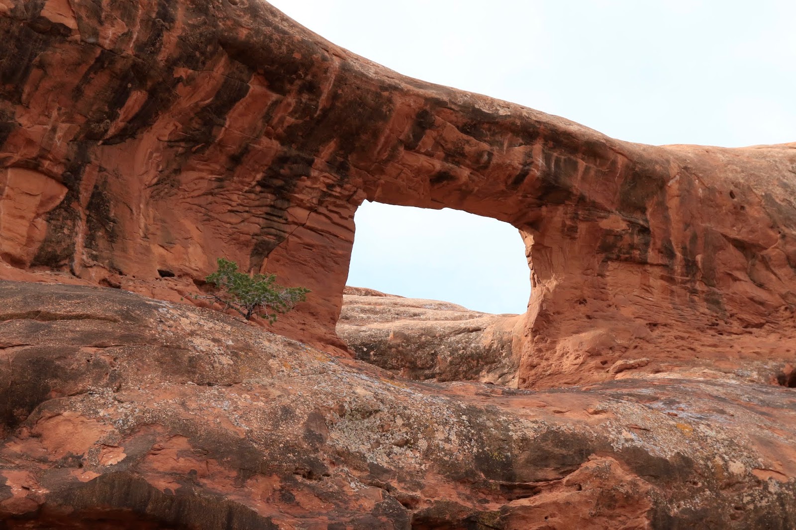 gjhikes.com: Picture Frame/Balcony Arches