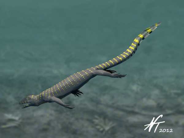 Petrolacosaurus