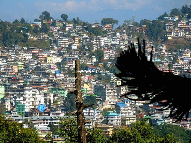 anythinglily: Kalimpong Travel Part 1: Walking The Streets Of Kalimpong
