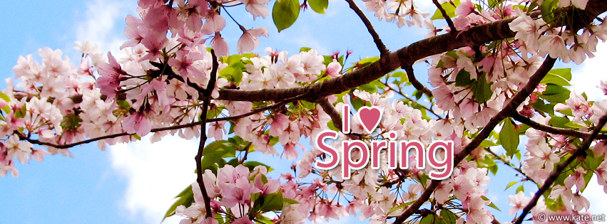 Love and LOvers Dairy (made by Sameer ): cute facebook cover page image