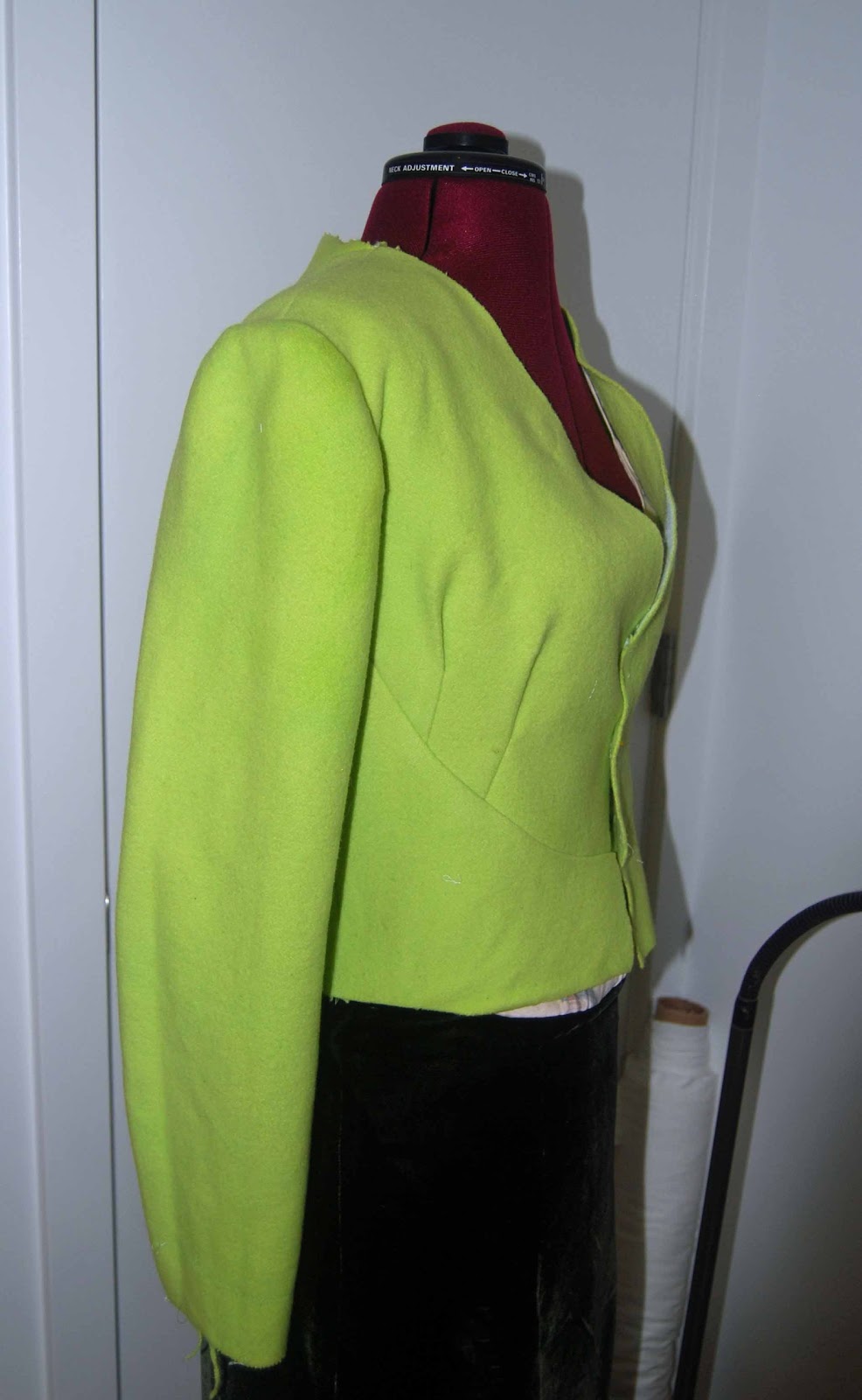 With needle and stick: Project Reveal Part IV: Sleeves