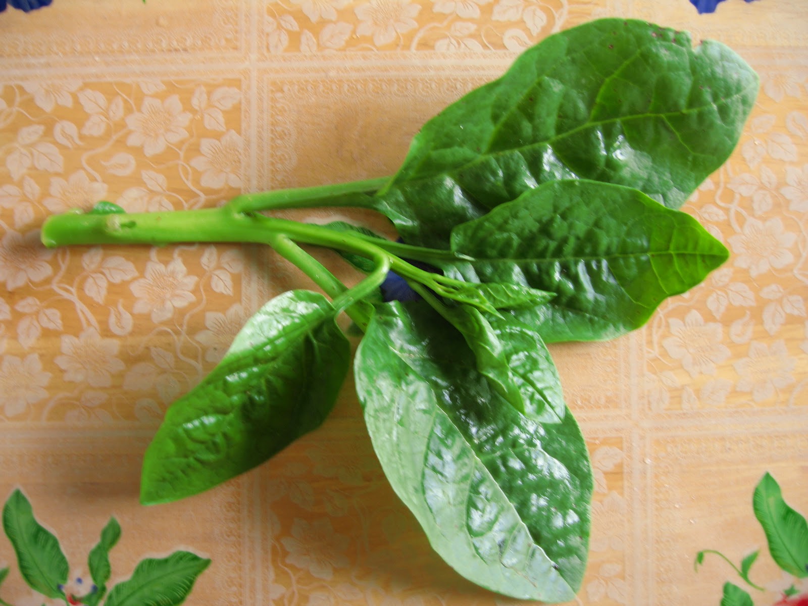 Sumptuous Flavours: San Choy Soup With Salted Egg Whites