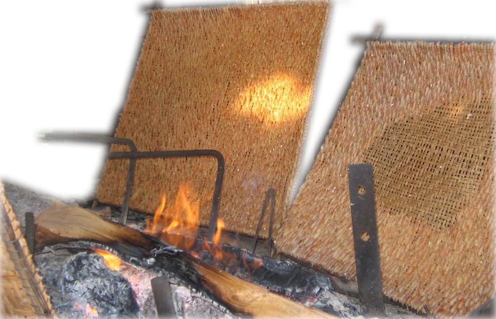 Travel Through Borneo