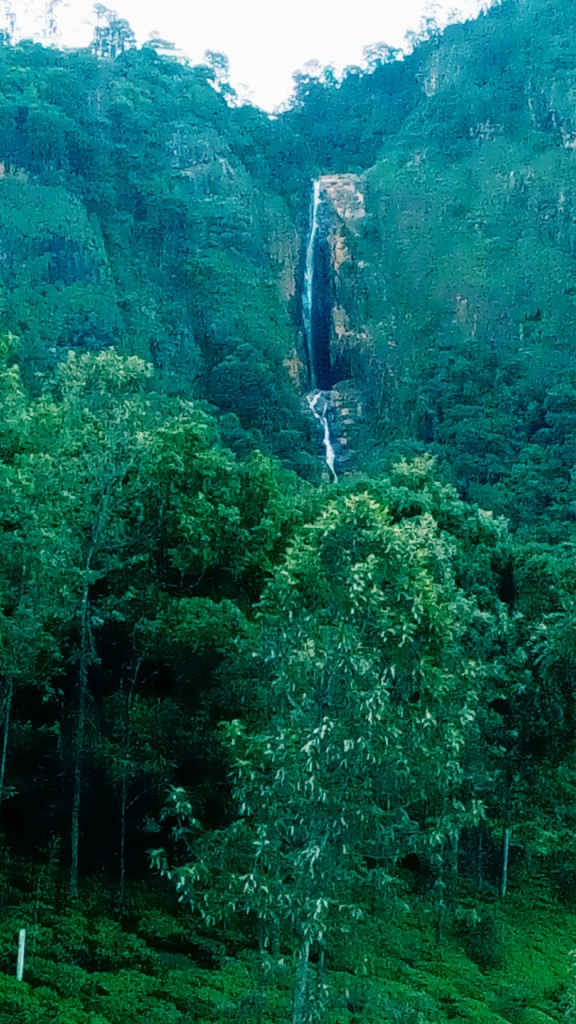 Tamilnadu Tourism: Katary Falls, Coonoor, Nilgiris