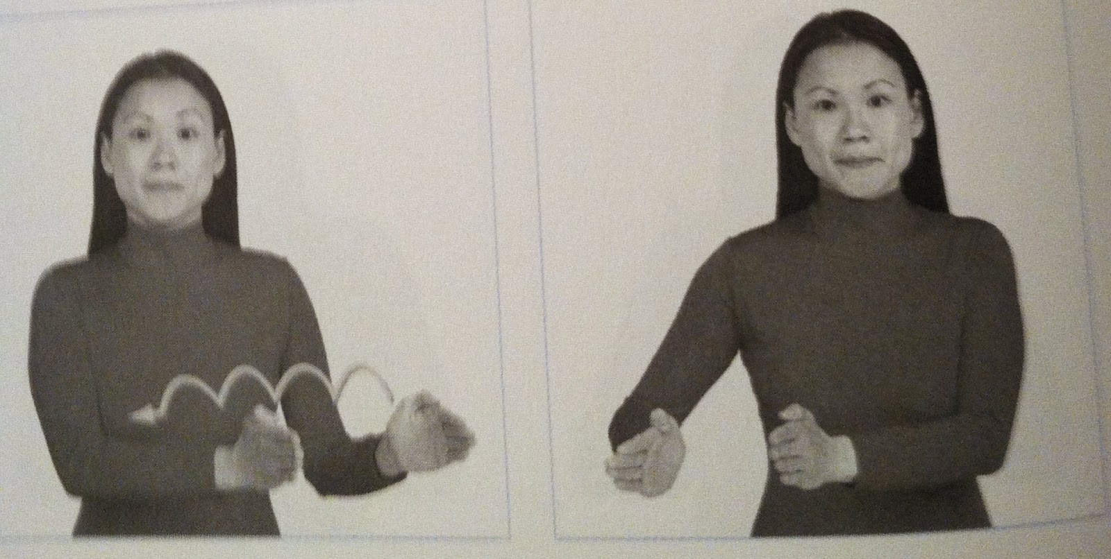 HearMyHands ASL: November 2013