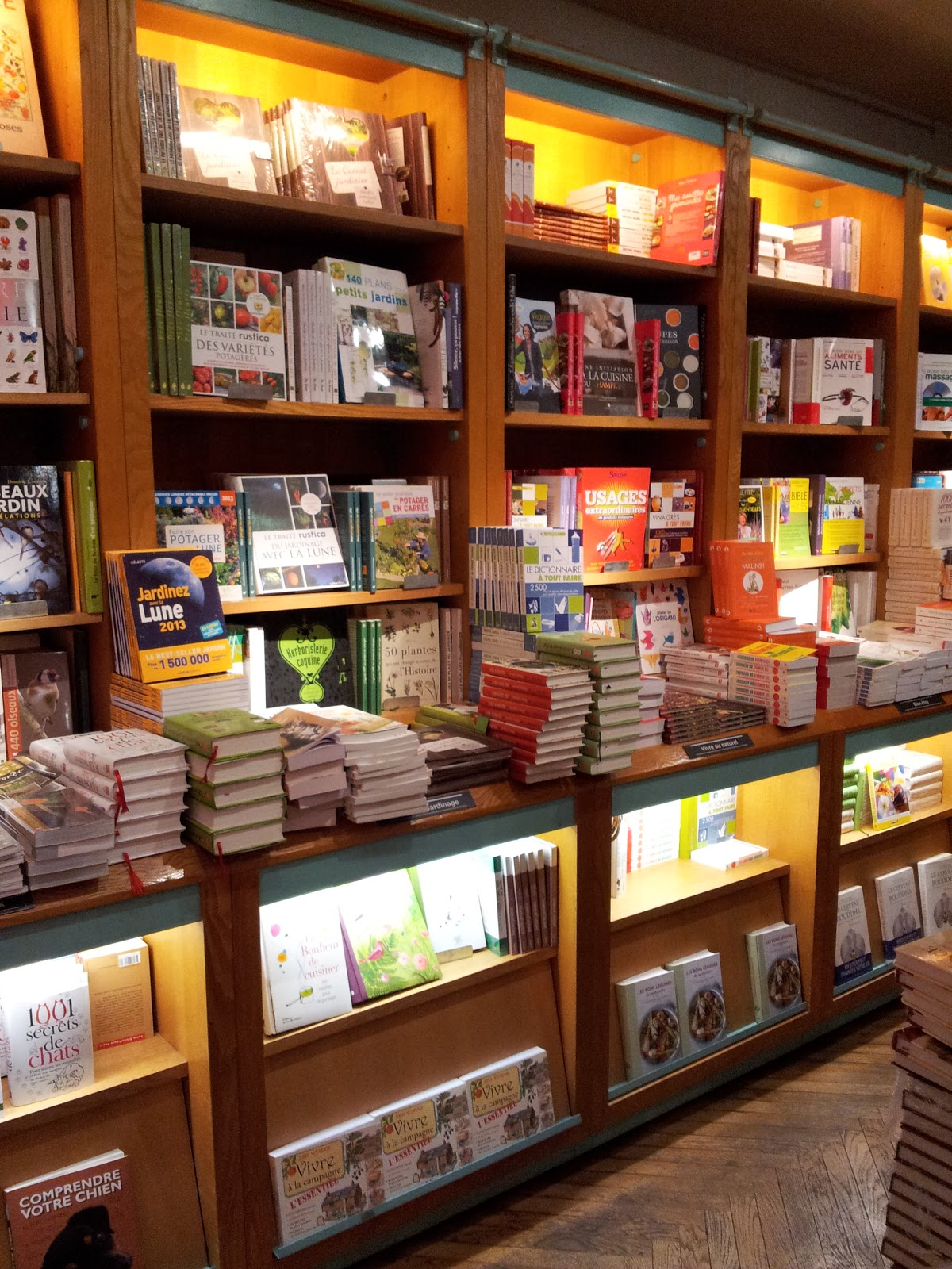 La librairie est morte, vive la... ?: Des libraires en amazon(e)...