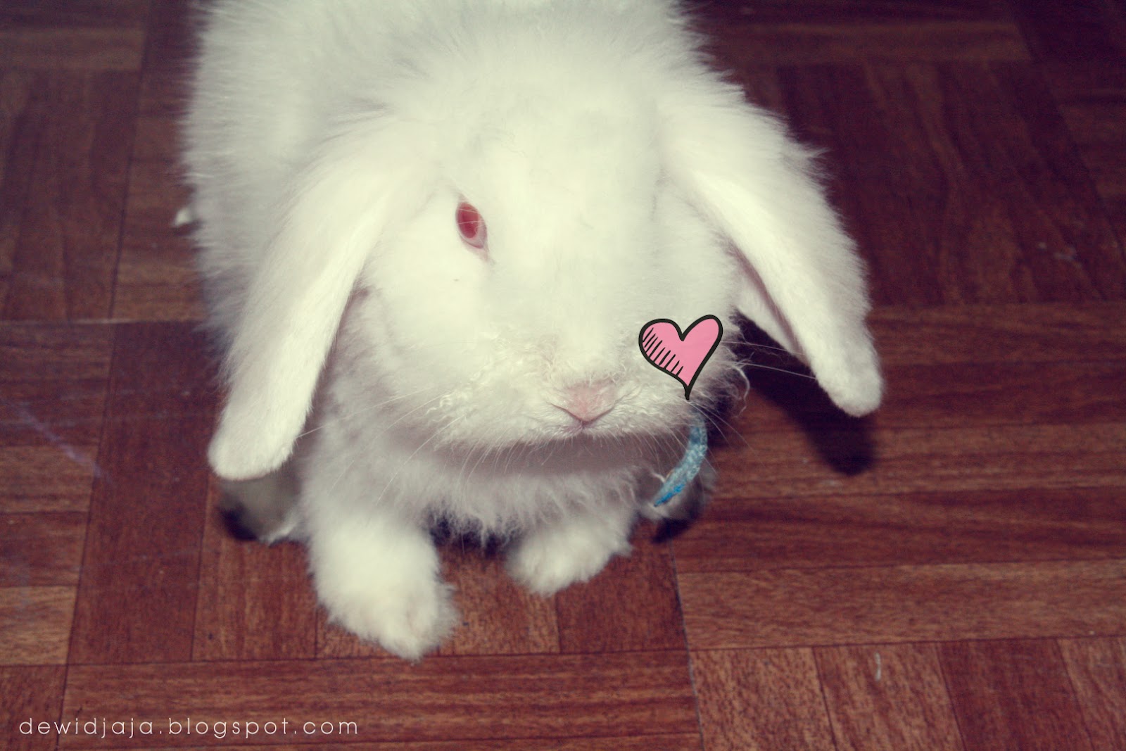 BLACKTREE: Chapter XX: Finding Neemo